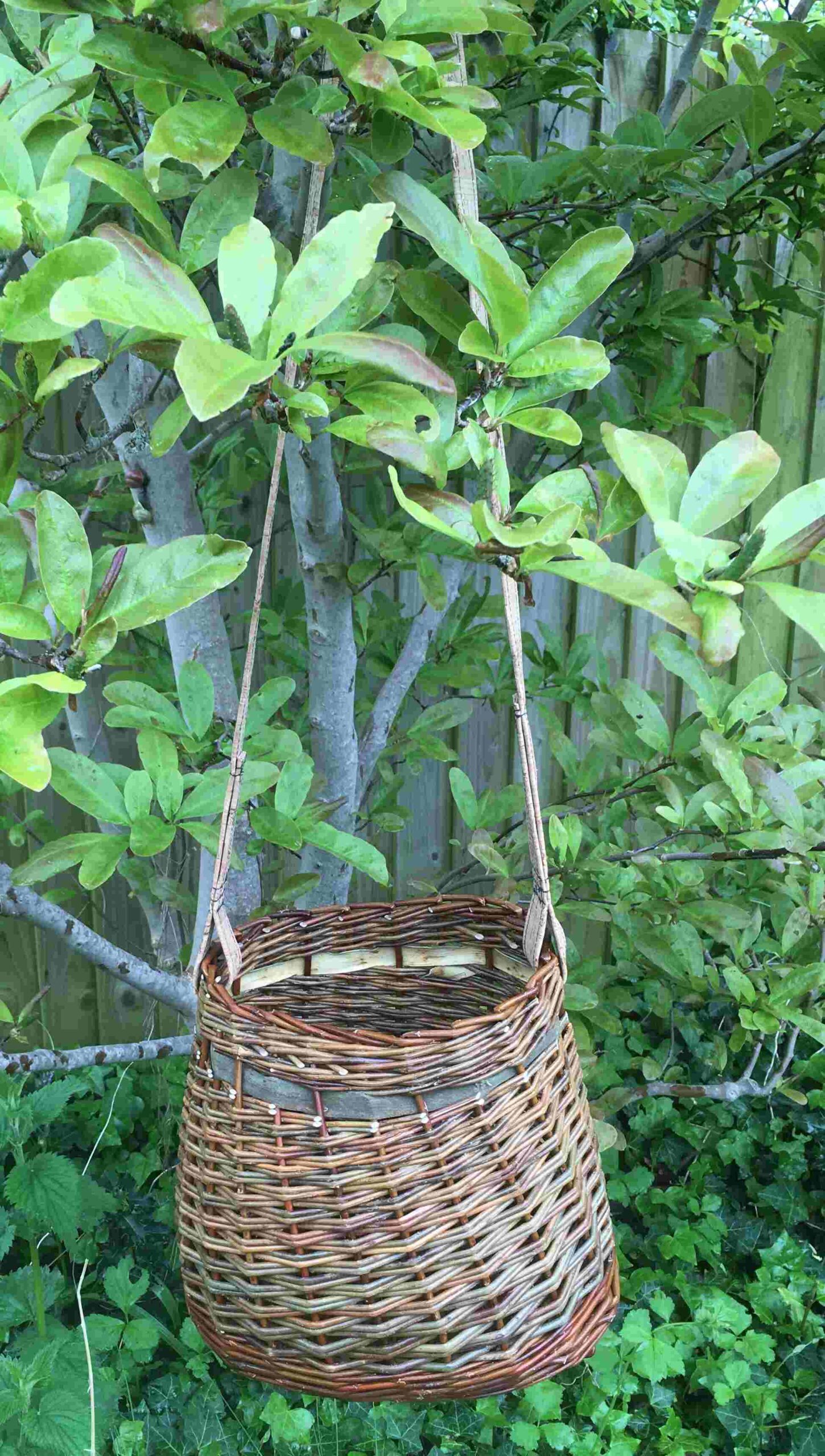 Basketry Workshops – Tree To Treen